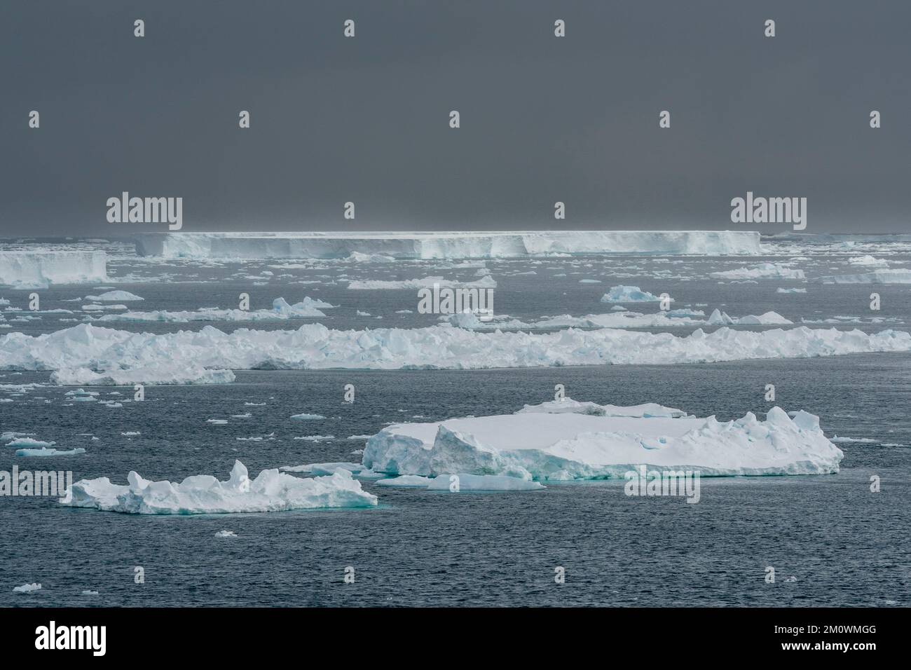 Larsen c iceberg hi-res stock photography and images - Alamy