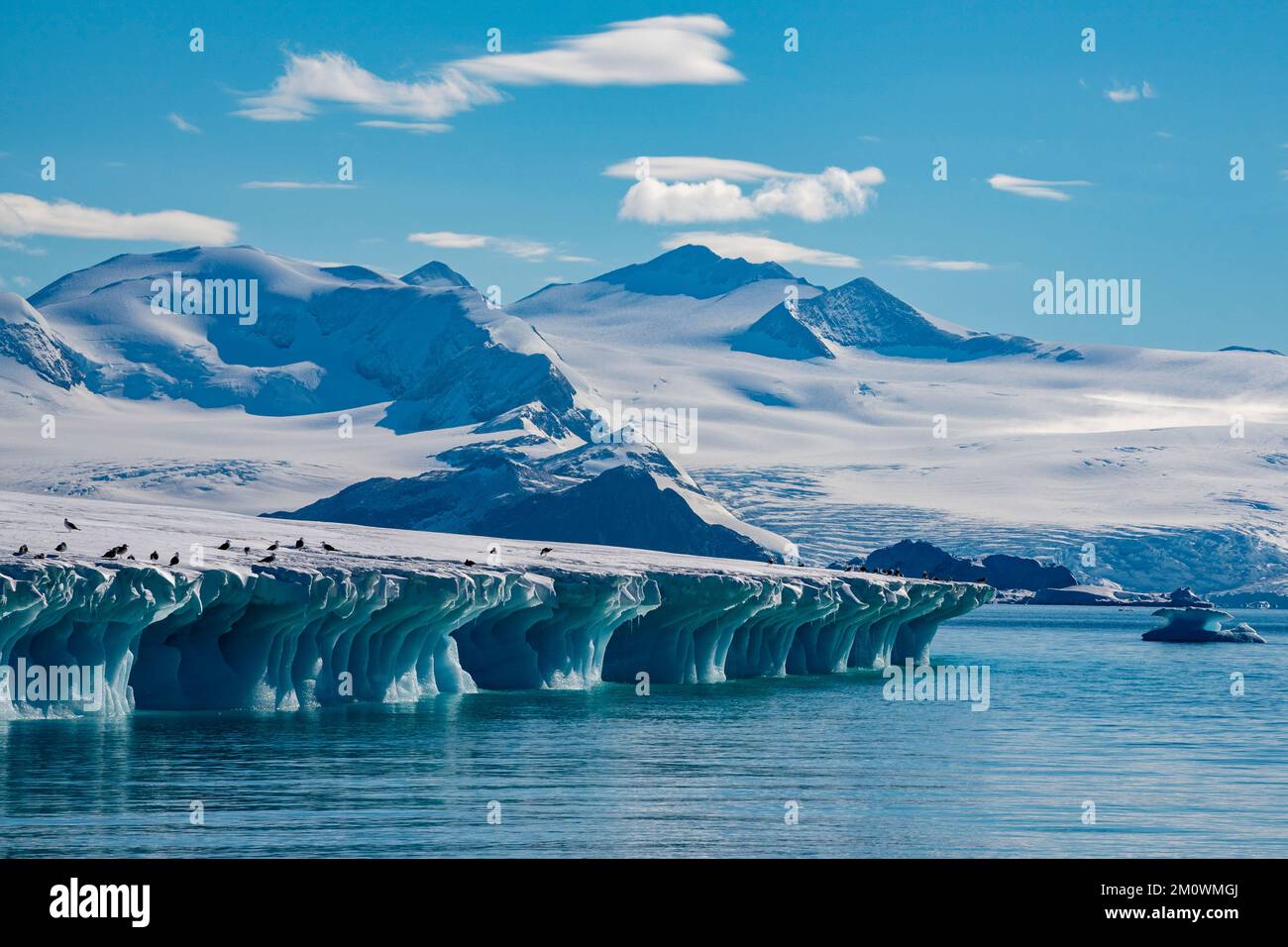 Larsen inlet hi-res stock photography and images - Alamy