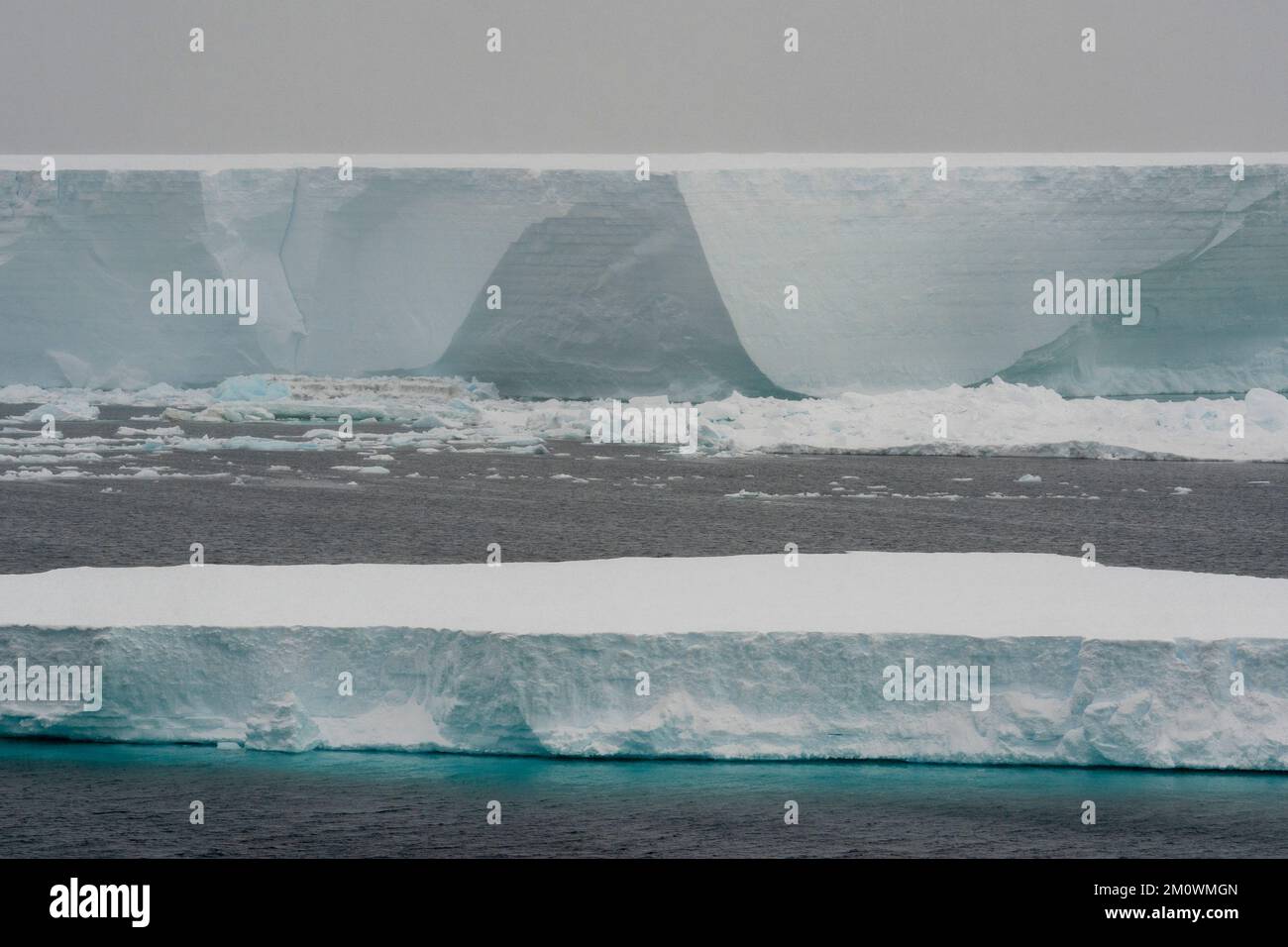 Larsen c iceberg hi-res stock photography and images - Alamy
