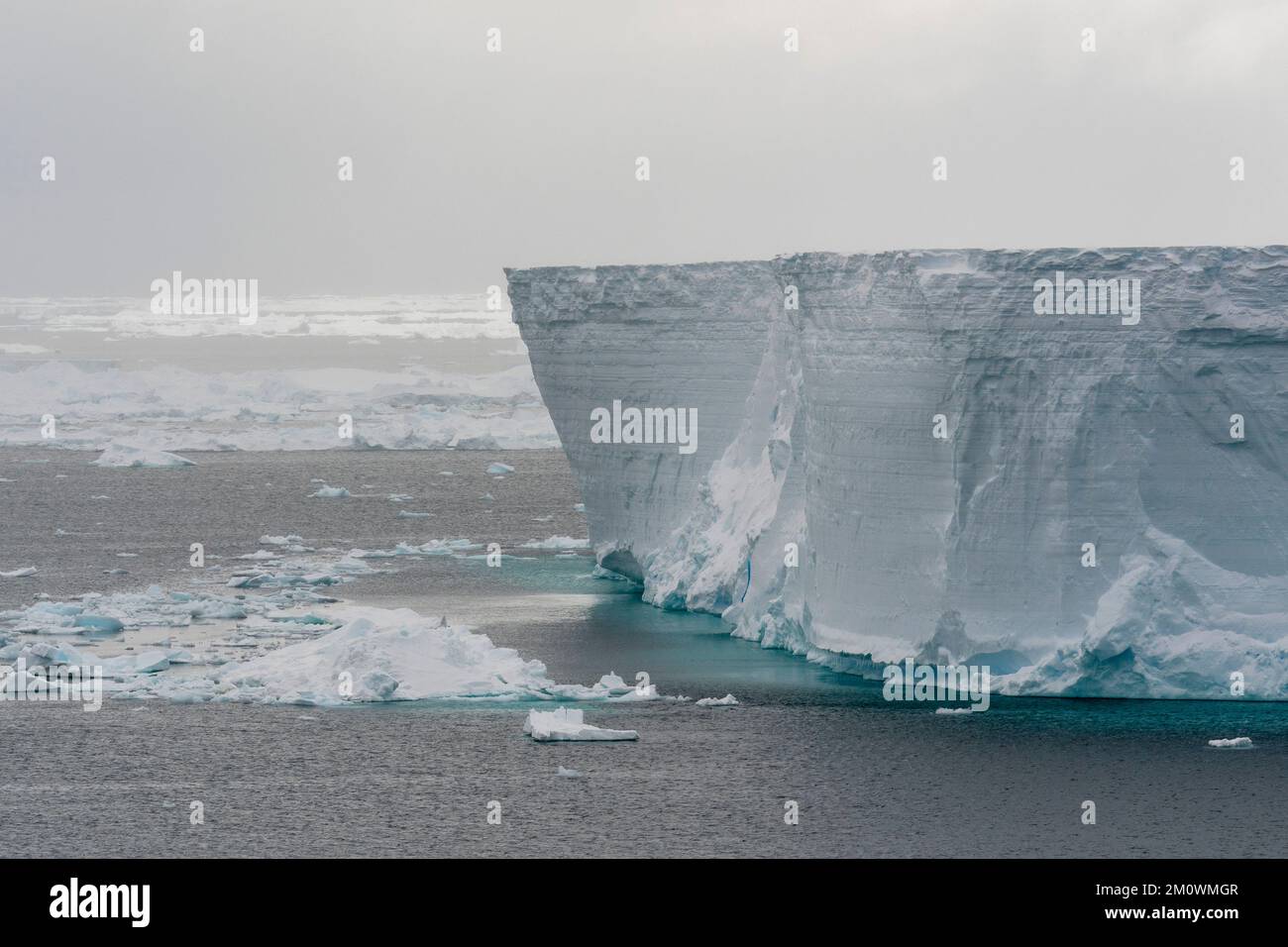 Tabular iceberg, Larsen C ice shelf, Weddell Sea, Antarctica Stock ...