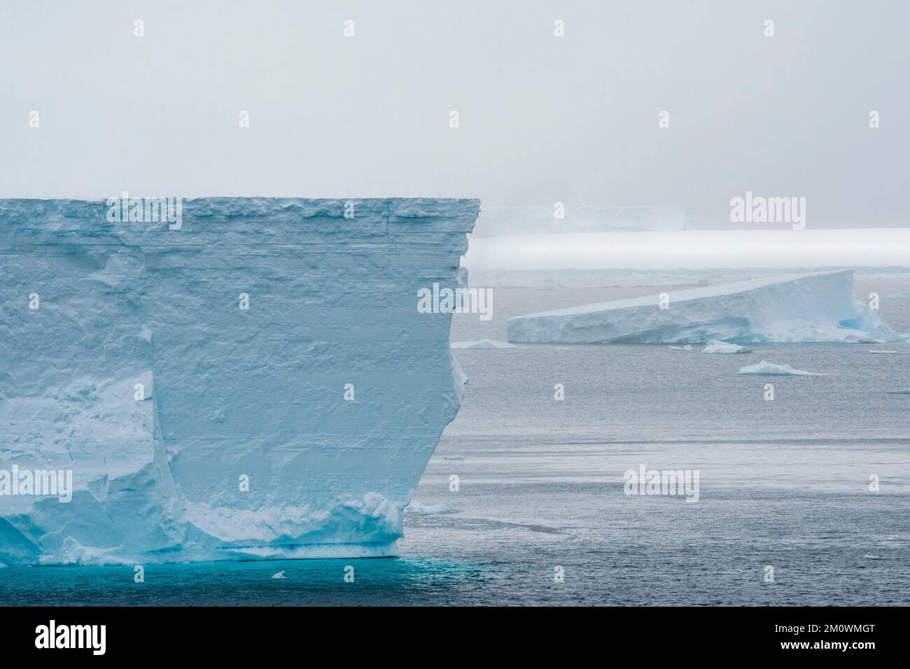 Larsen c iceberg hi-res stock photography and images - Alamy