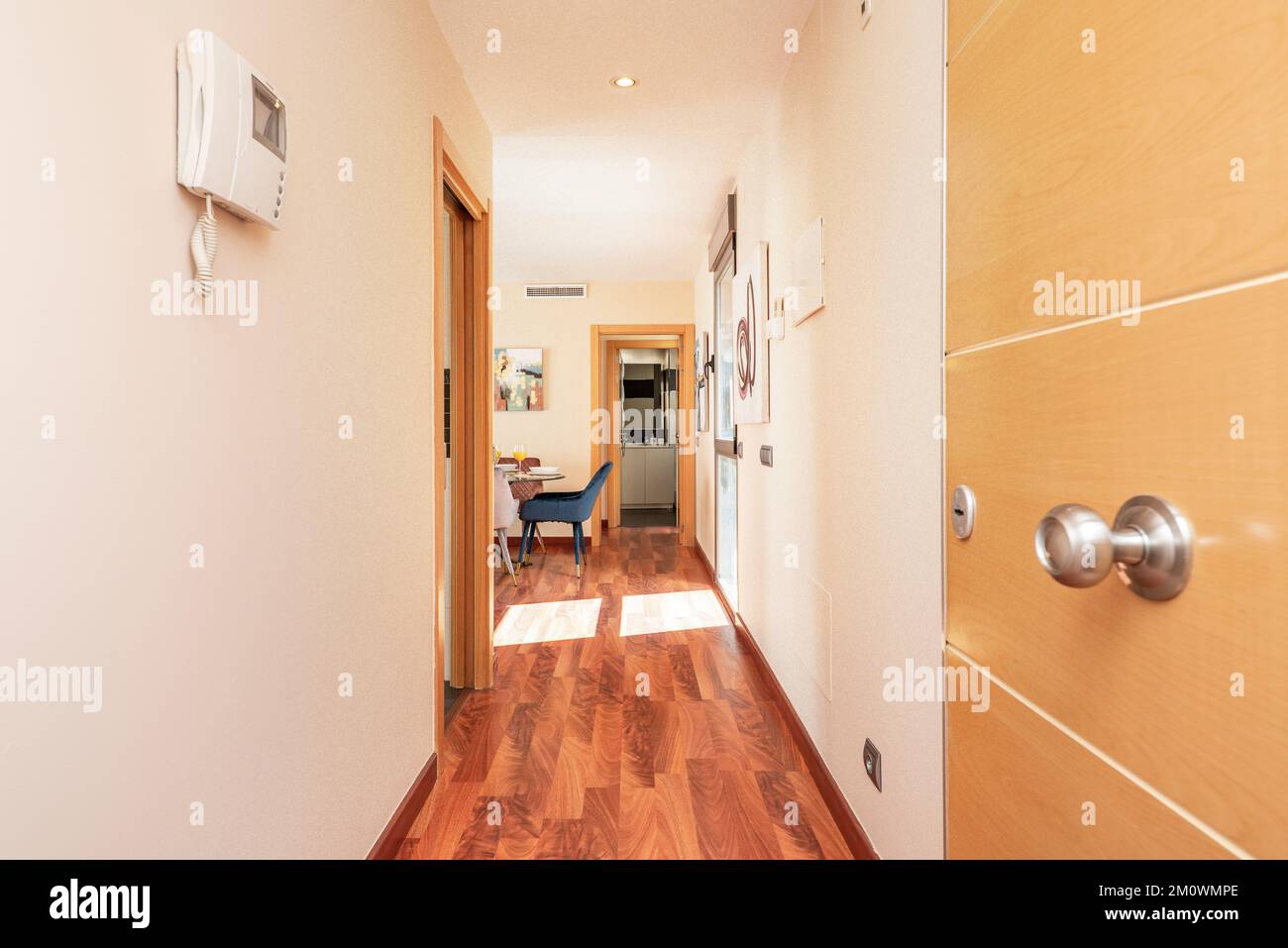 Entrance hall of a house with an armored access door, a corridor that ...
