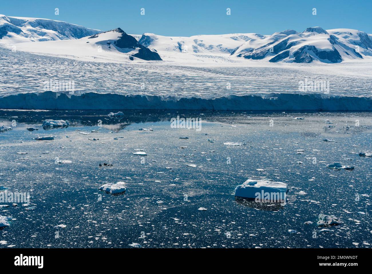 Aerial view of Larsen Inlet glacier, Weddell Sea, Antarctica Stock ...