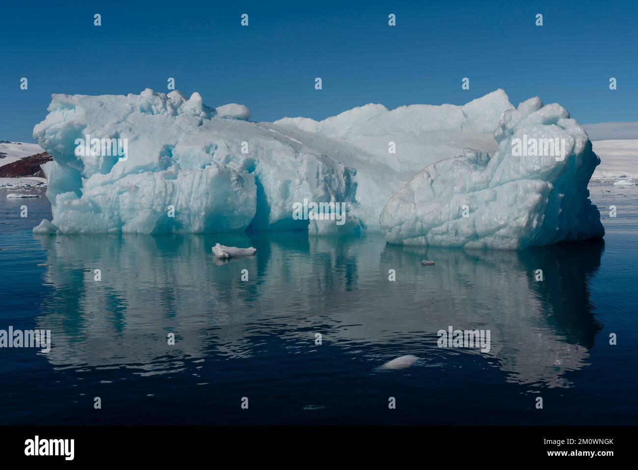 Larsen inlet hi-res stock photography and images - Alamy