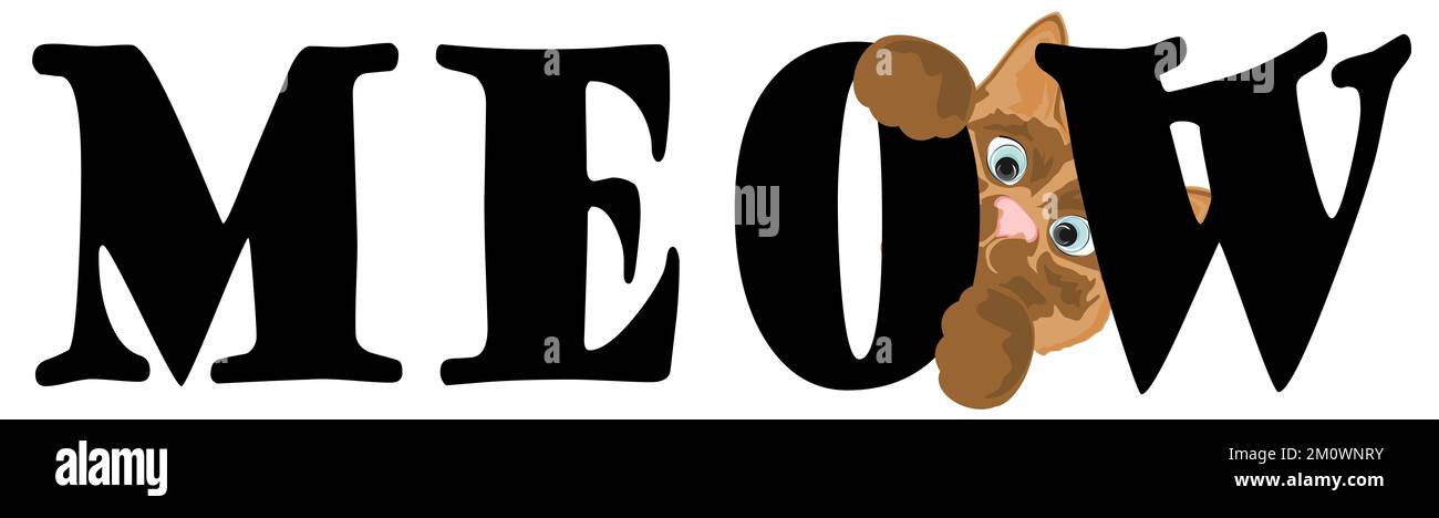 cat say meow Stock Photo - Alamy