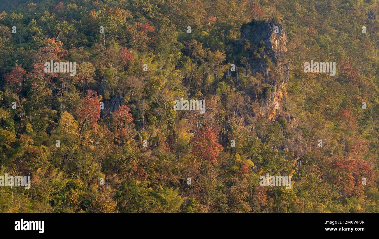 Colorful autumn forest landscape with limestone rock outcrop in scenic ...