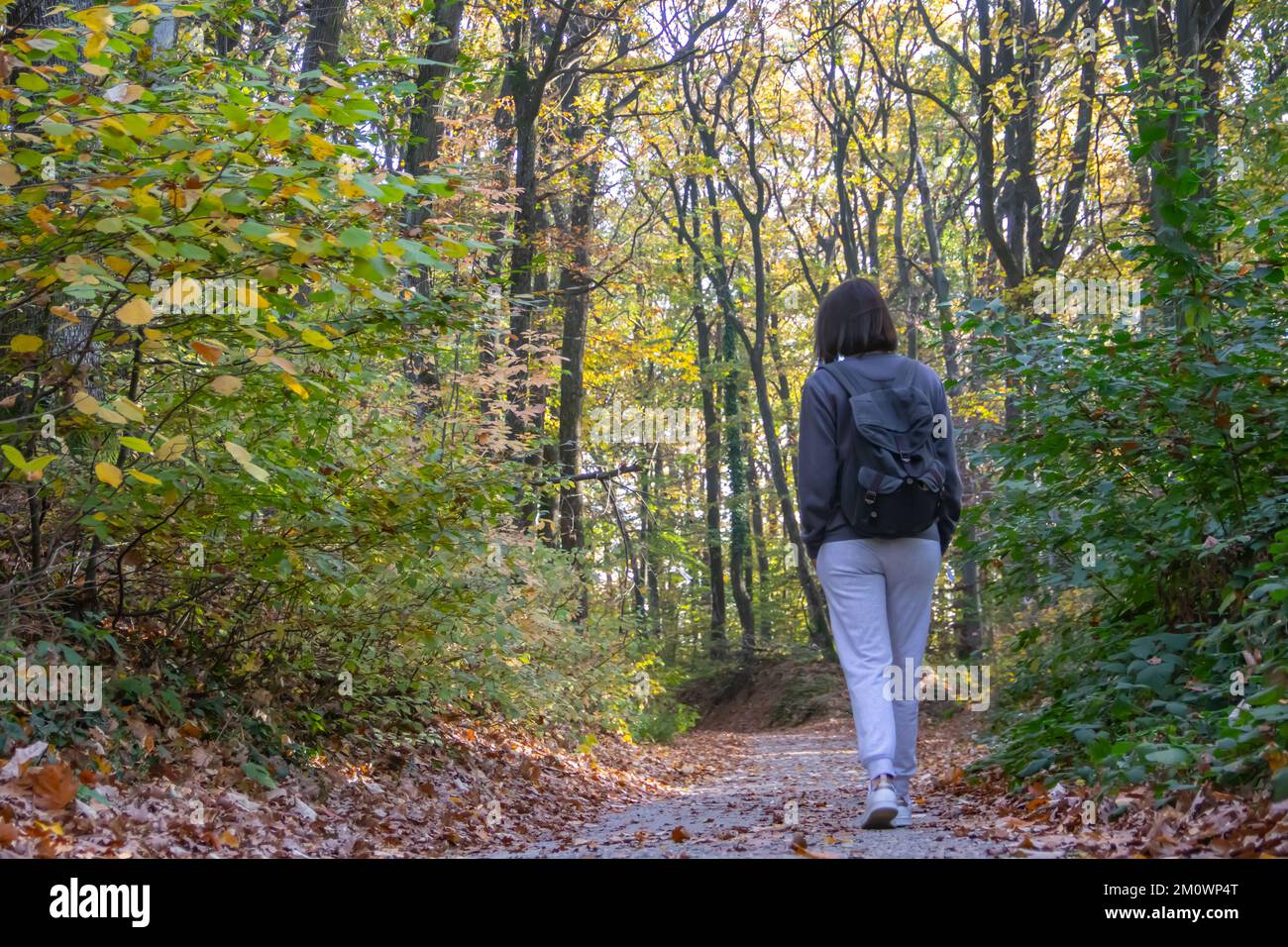 Girl alone sporty dressed walking through the beautiful nature in ...