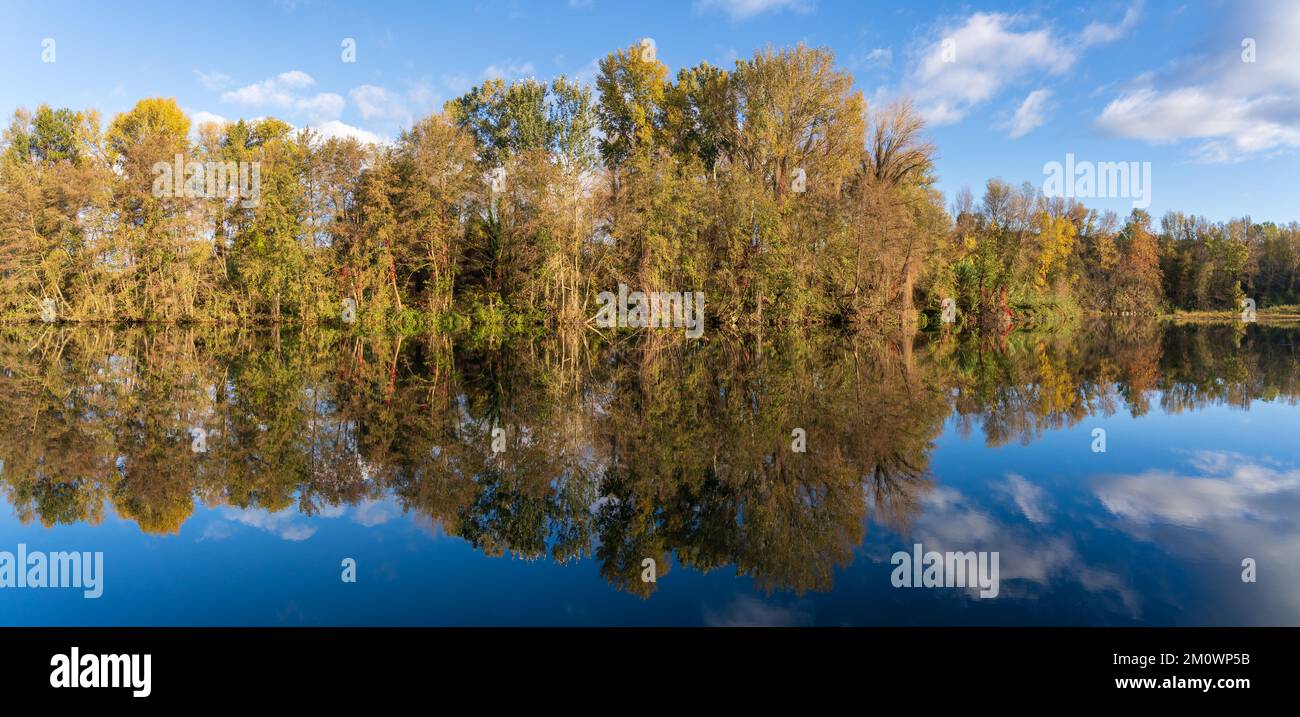 Scenic autumn landscape panorama of trees with colorful fall foliage ...