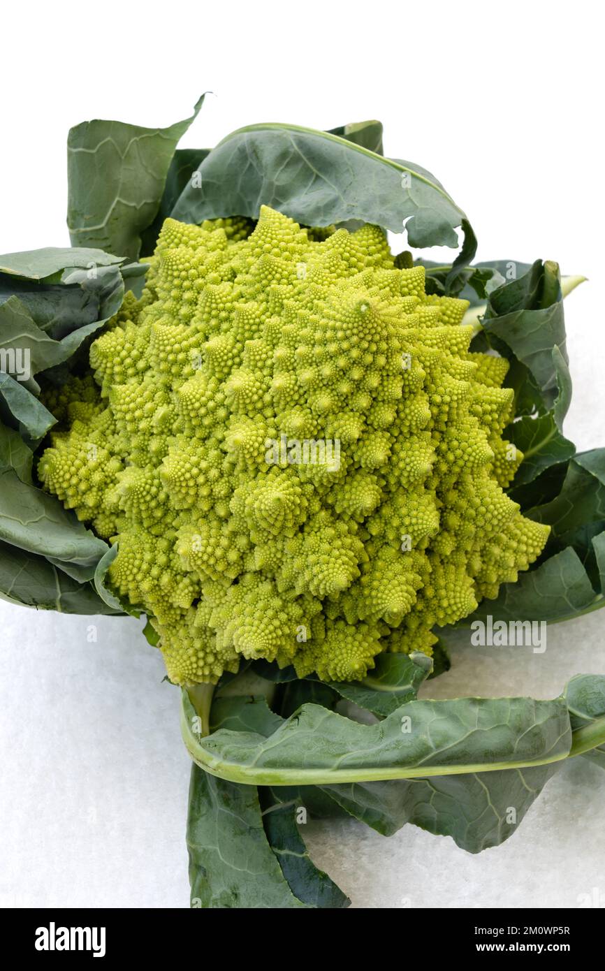 Vertical closeup view of romanesco broccoli aka roman cauliflower or ...
