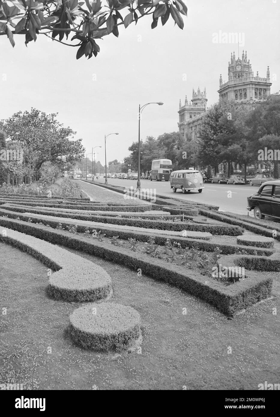 ZONA AJARDINADA EN EL PASEO DE RECOLETOS - FOTOGRAFIA EN BLANCO Y NEGRO ...