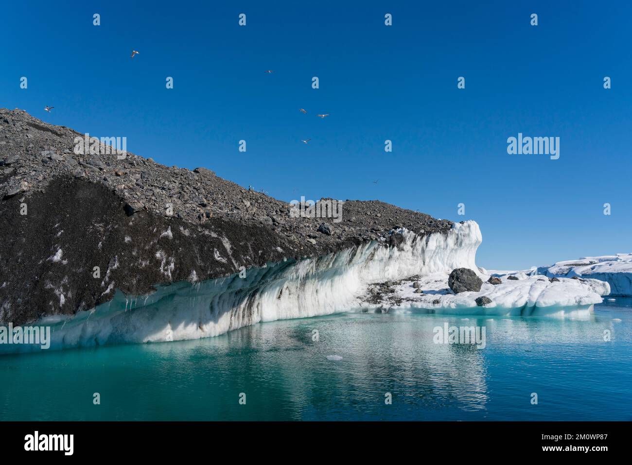 Larsen inlet hi-res stock photography and images - Alamy