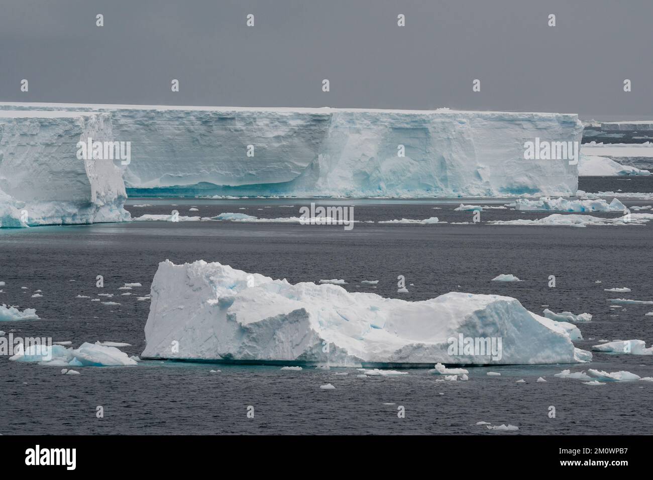 Larsen c iceberg hi-res stock photography and images - Alamy