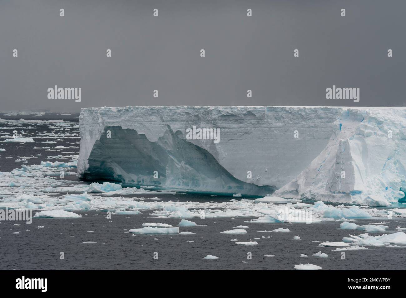 Larsen c iceberg hi-res stock photography and images - Alamy