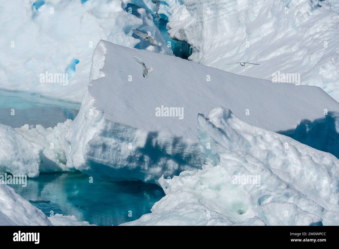 Larsen b antarctica hi-res stock photography and images - Alamy