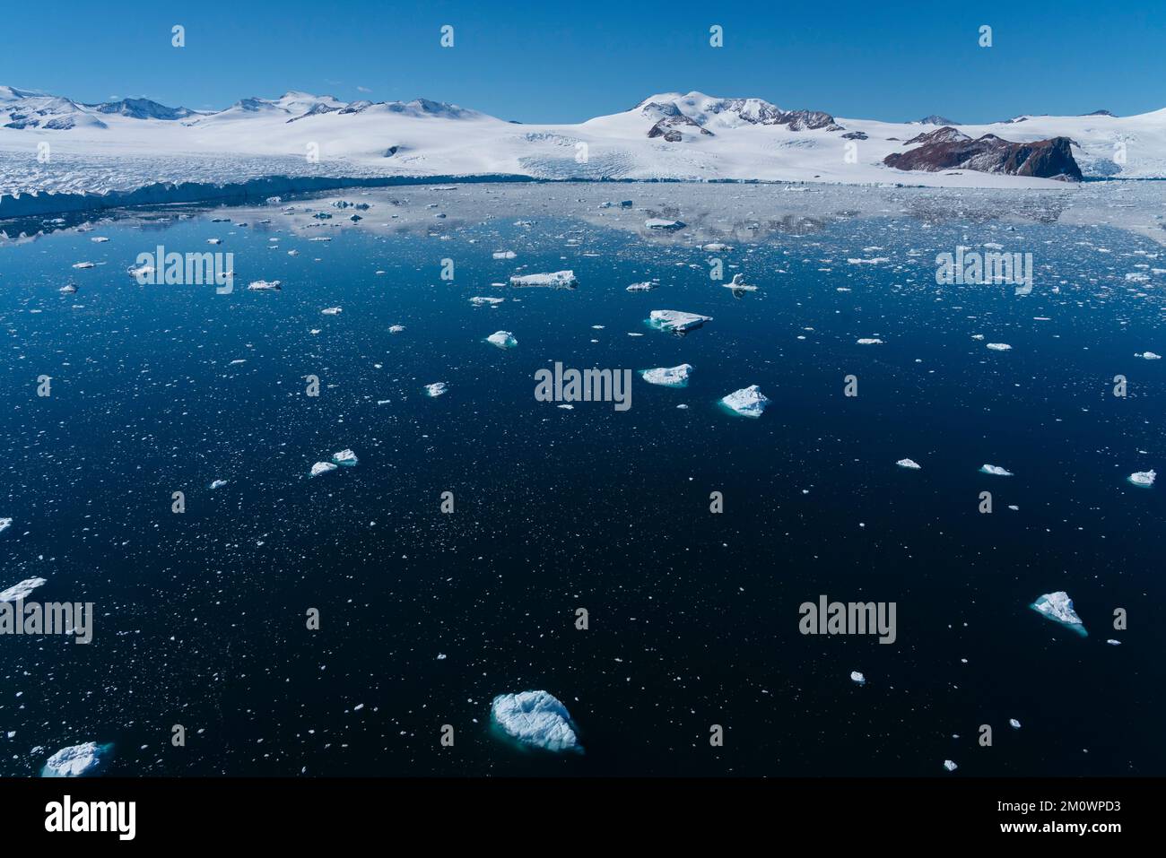 Aerial view of Larsen Inlet glacier, Weddell Sea, Antarctica Stock ...