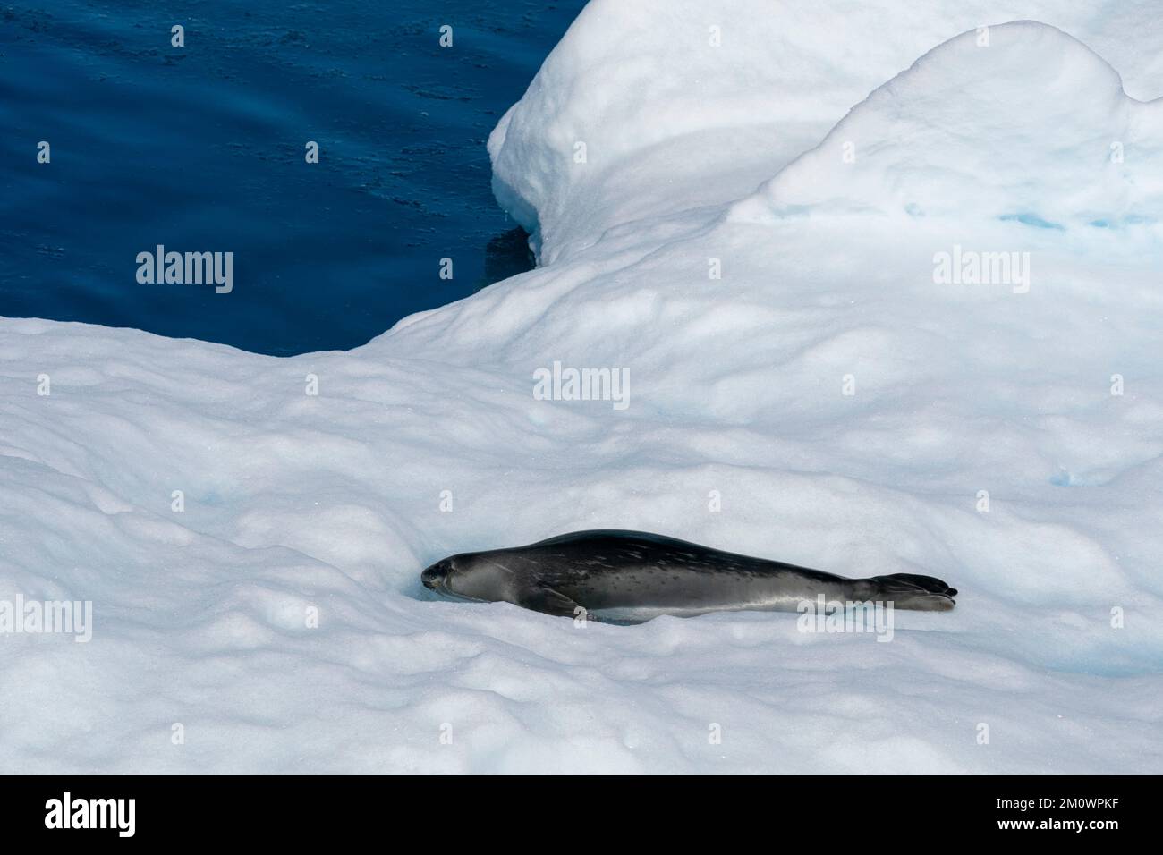 Larsen b antarctica hi-res stock photography and images - Alamy