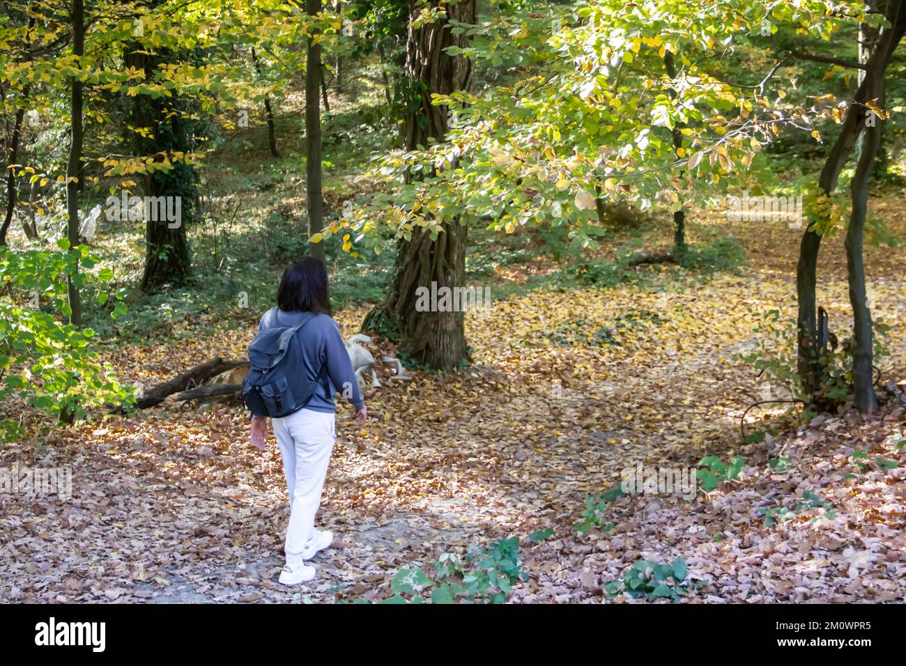 Girl alone sporty dressed walking through the beautiful nature in ...