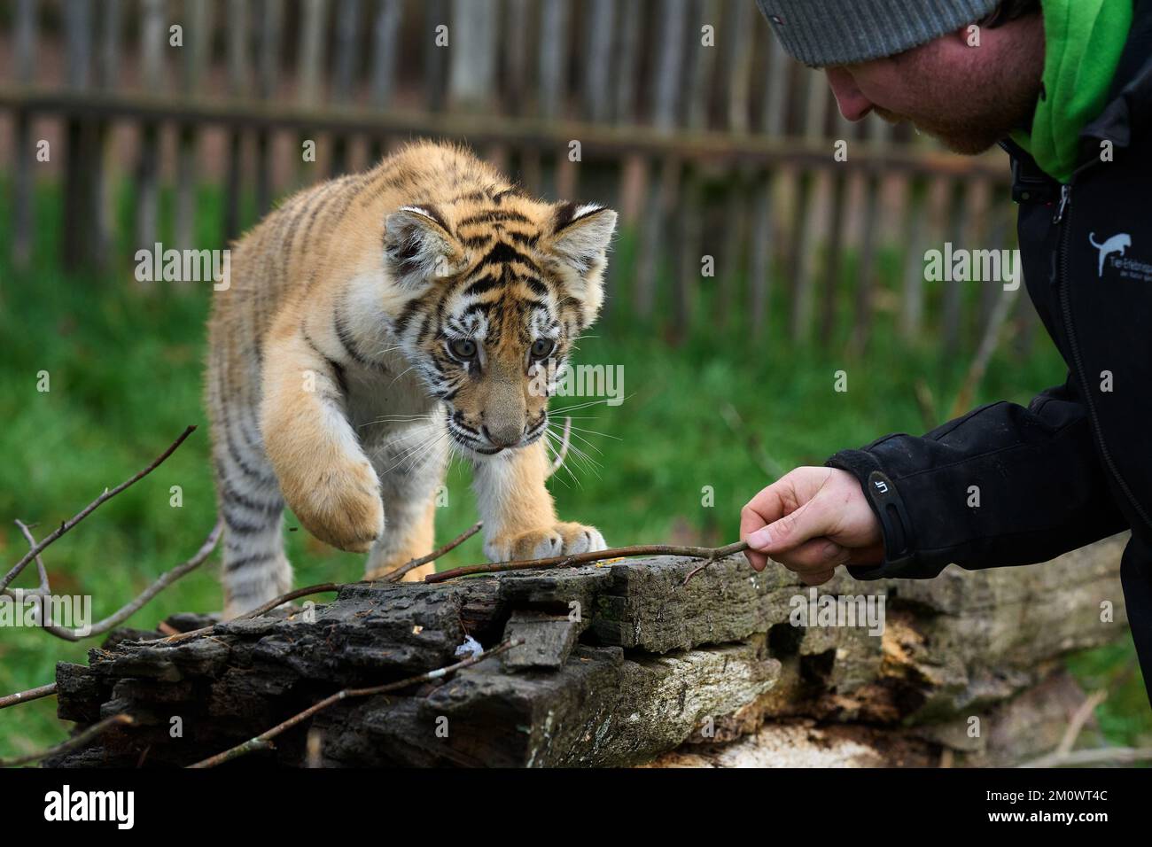 Remo muller hi-res stock photography and images - Alamy