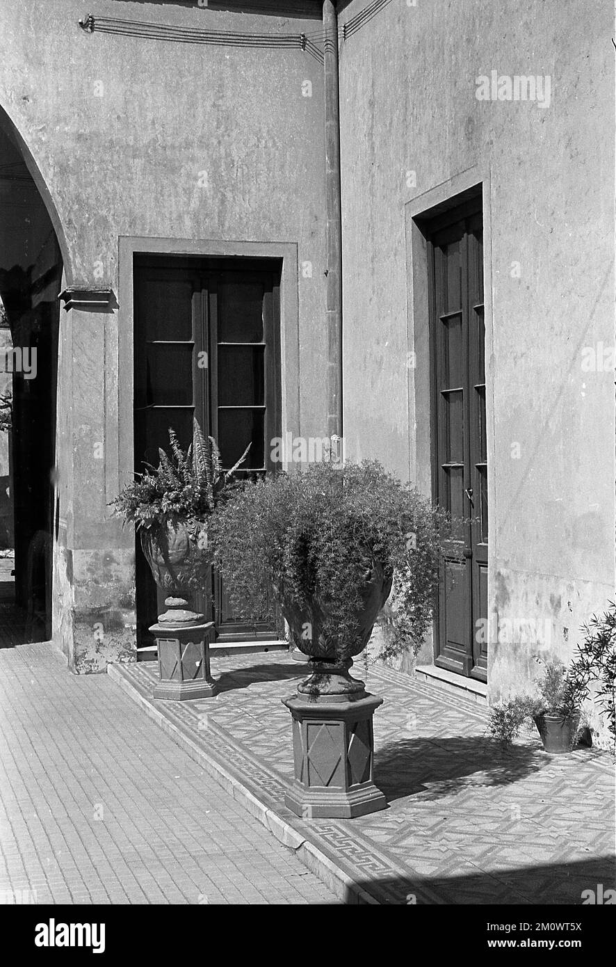 Salta City, Argentina, street scenes, boy draws a Sarmiento portrait ...