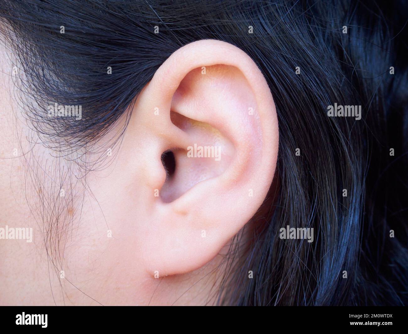 Human ear closeup Stock Photo - Alamy