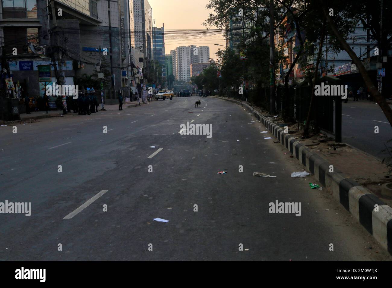 Dhaka, Dhaka, Bangladesh. 8th Dec, 2022. A street dog is crossing the ...