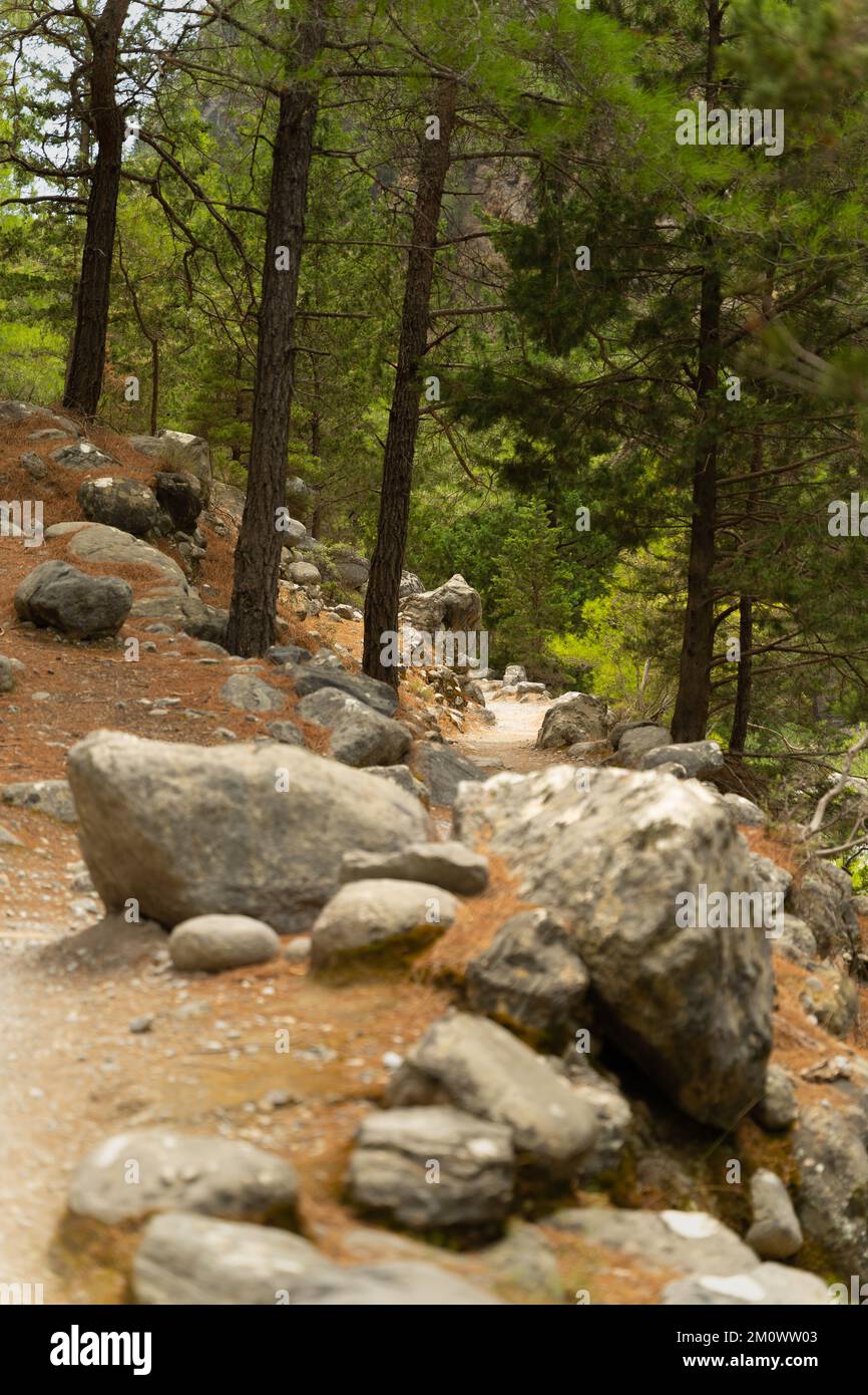 A vertical shot of the Samaria Gorge during the day in Crete, Greece ...