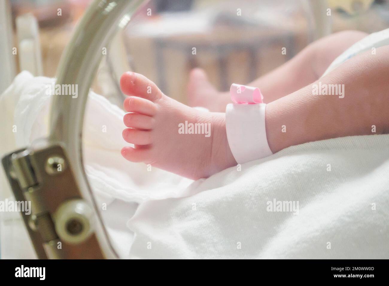 Hospital identification hi-res stock photography and images - Alamy