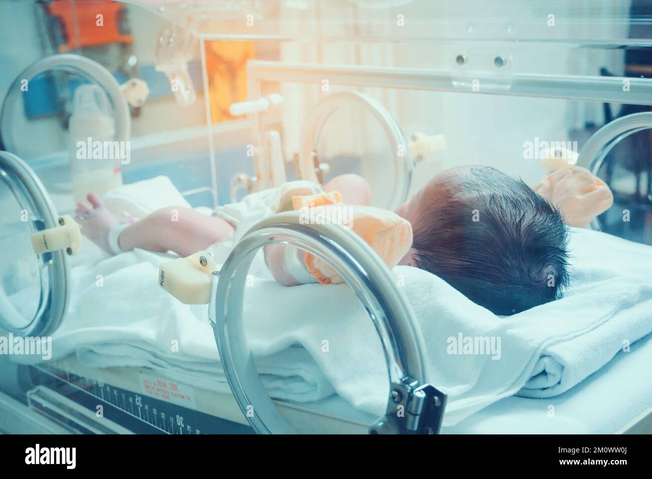 Newborn baby girl inside incubator in hospital post delivery room Stock ...