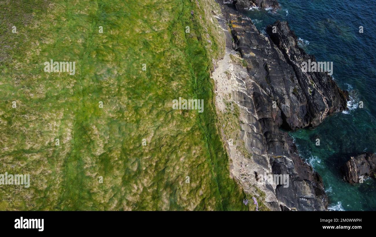 Dense thickets grass on lake hi-res stock photography and images - Alamy
