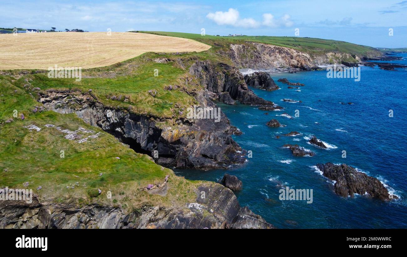 Farm fields on the rocky shore of the Celtic Sea, south of Ireland ...