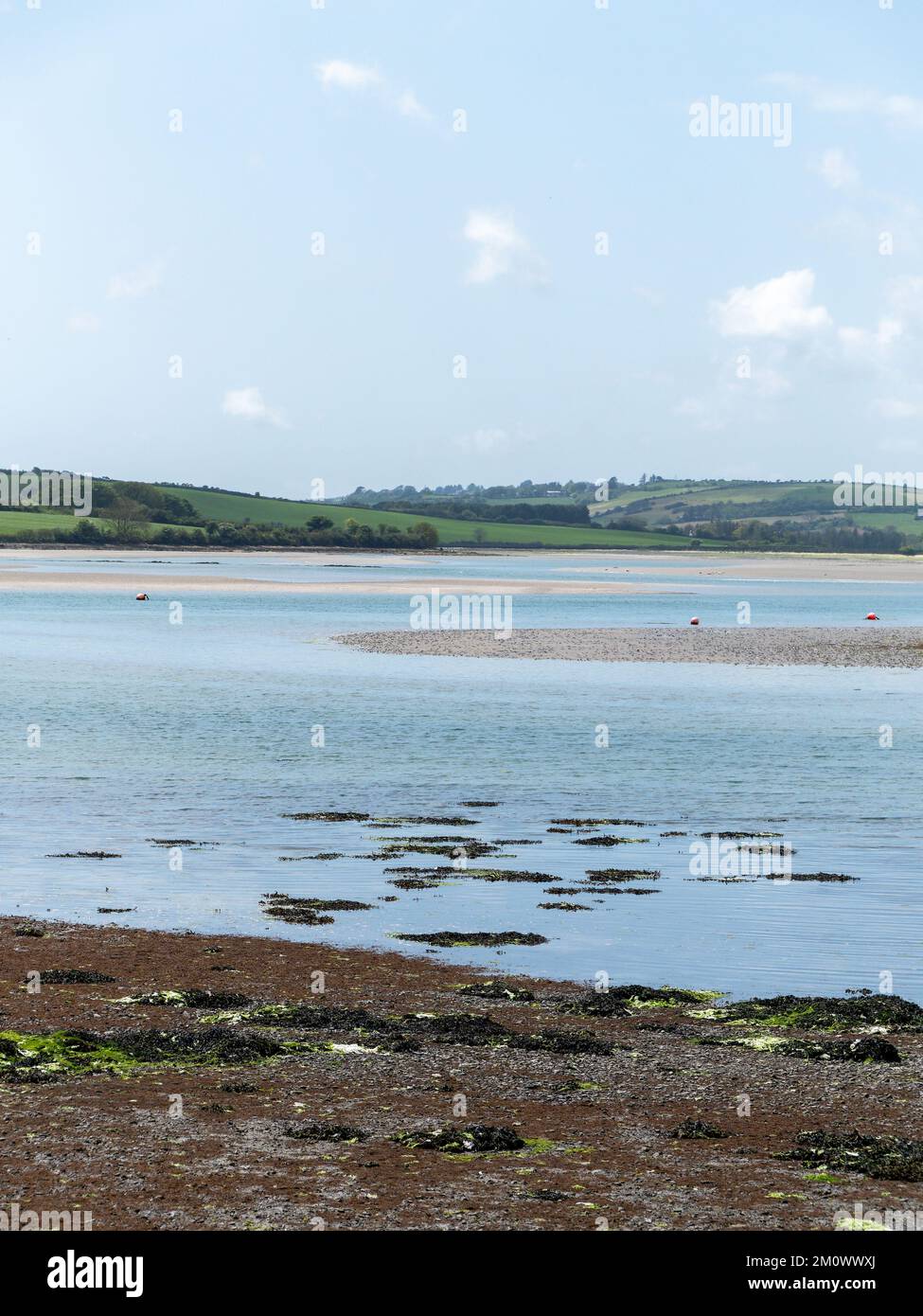 Sea shoal at low tide, seaside landscape, body of water Stock Photo - Alamy