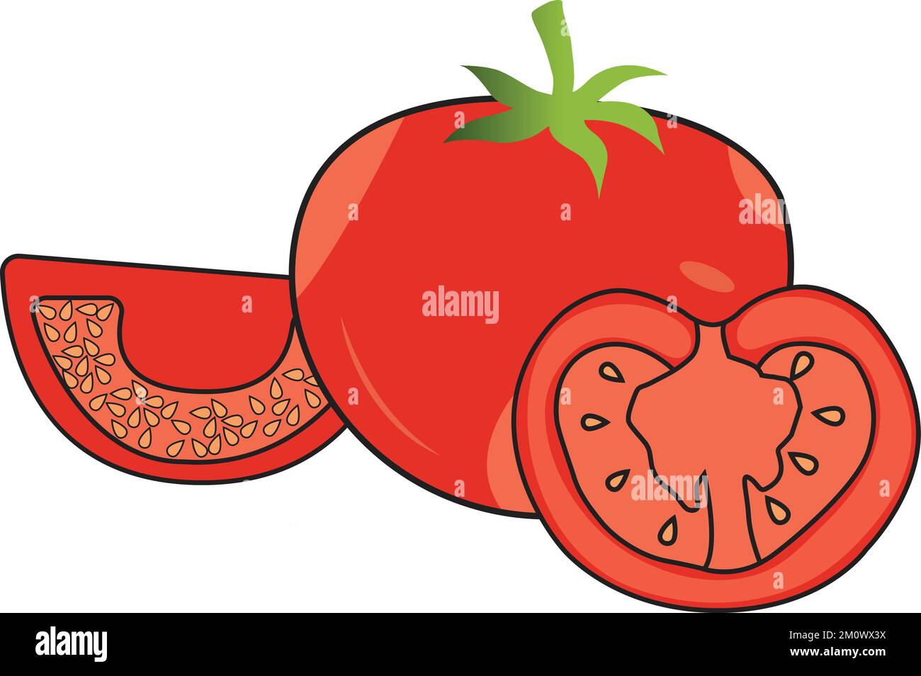 vector illustration of colorful red tomato with full and slice piece ...