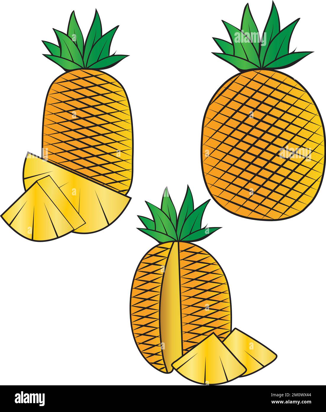 vector illustration of colorful pineapple doodle full and half for ...