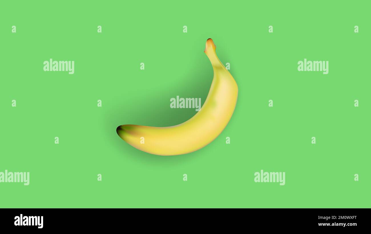 Vector graphic of realistic banana illustration using yellow color ...