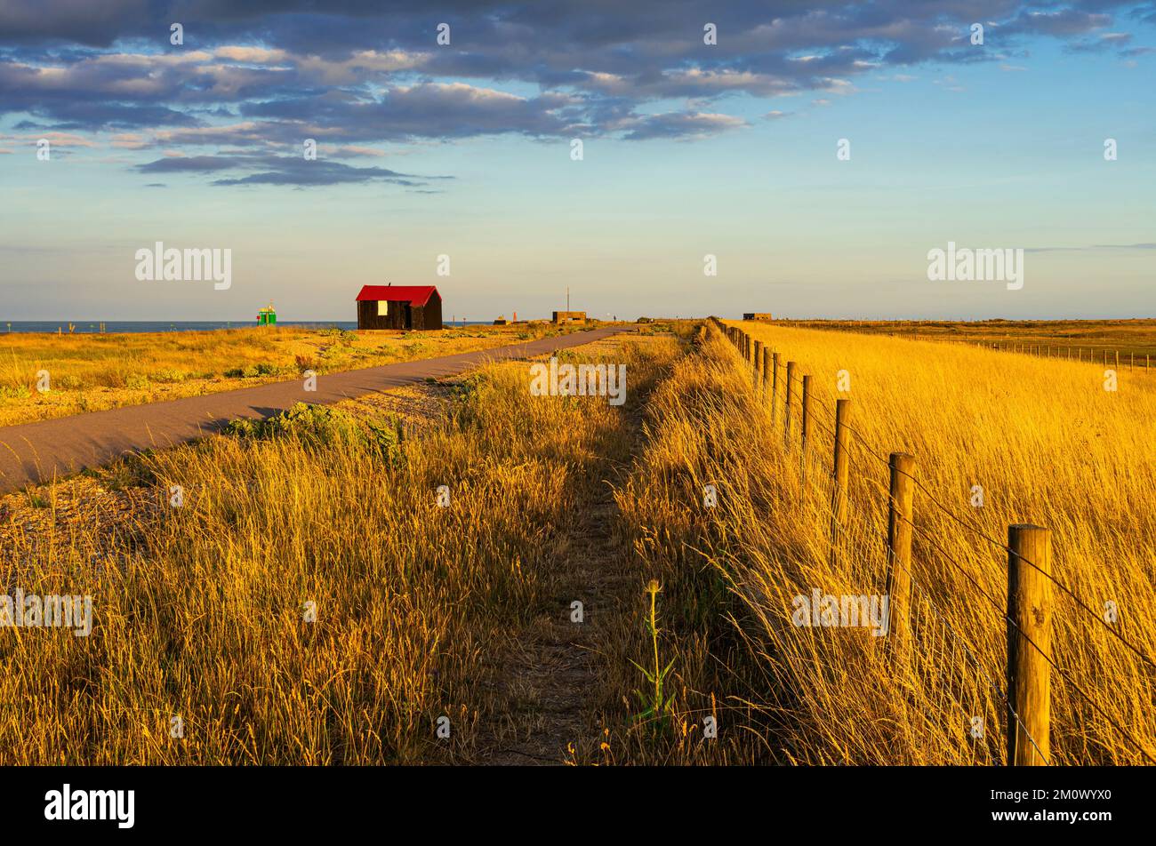English rye grass hi-res stock photography and images - Alamy