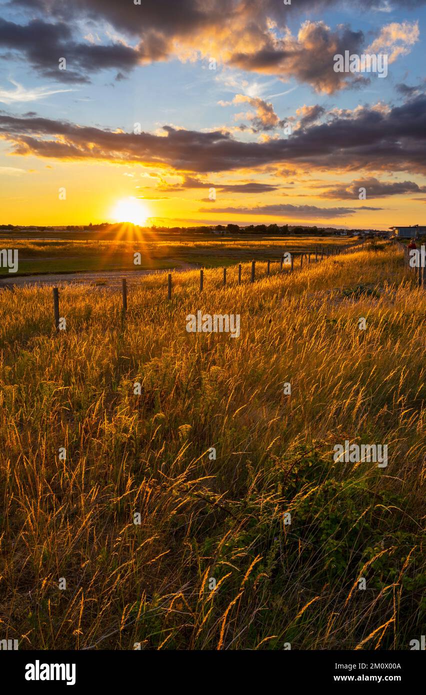 Rye Harbour Nature Reserve wetlands and saltmarsh landscape at sunset ...