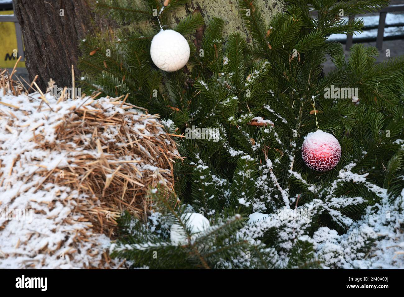 Copenhagen/Denmark/08 December 2022/Visoitor going to see christmas ...