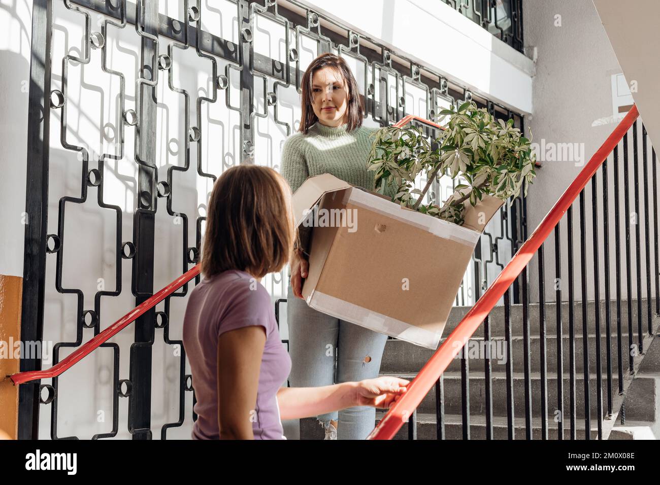 Serious concentrated female students carry cardboard box with plant ...