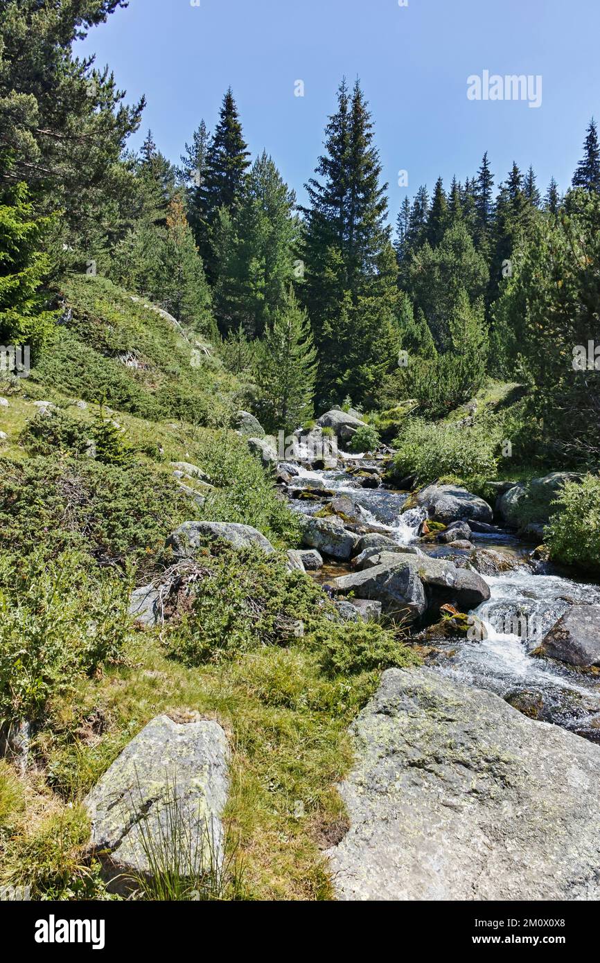 Amazing Landscape of Pirin Mountain mountain near Begovitsa hut ...