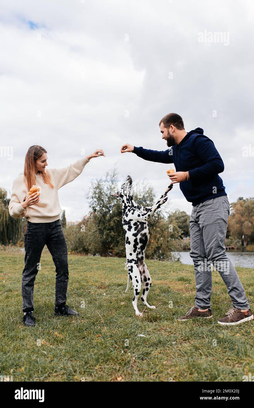 A young couple is having fun with a Dalmatian dog outdoors Stock Photo ...