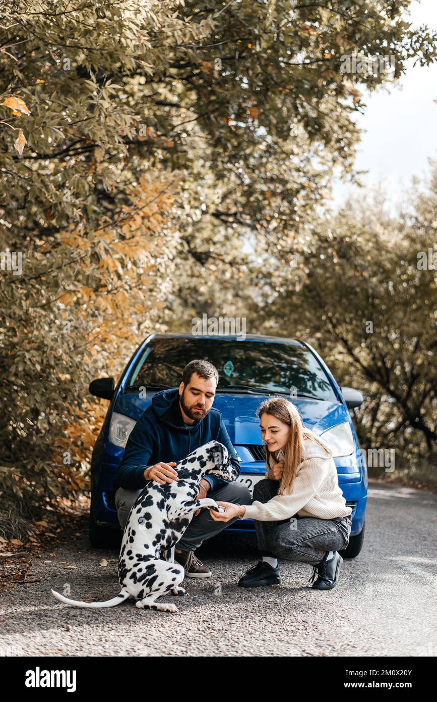 A young couple is having fun with a Dalmatian dog outdoors Stock Photo ...