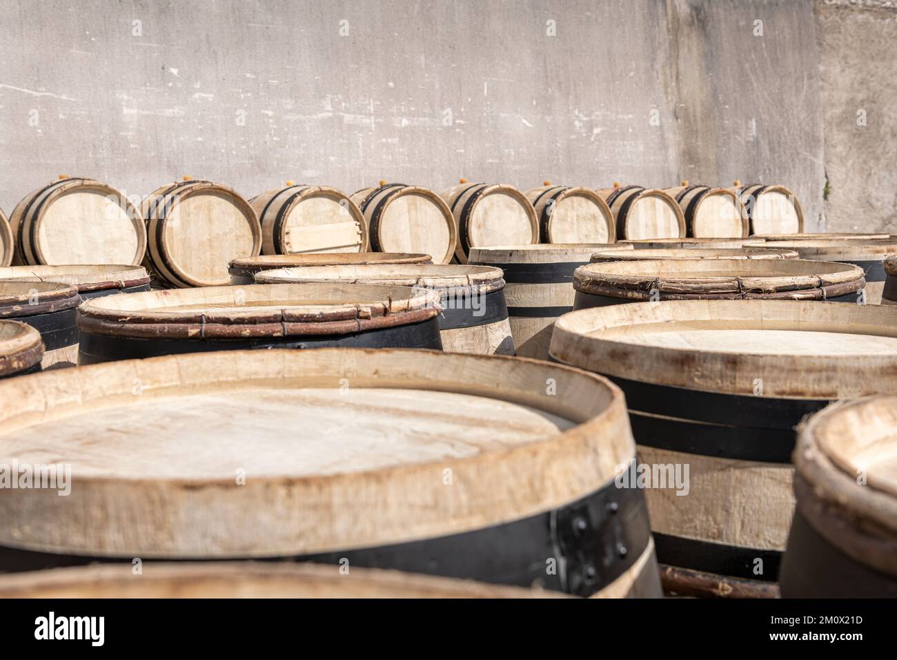 Wine Barrels in storage in Sancerre, France Stock Photo - Alamy