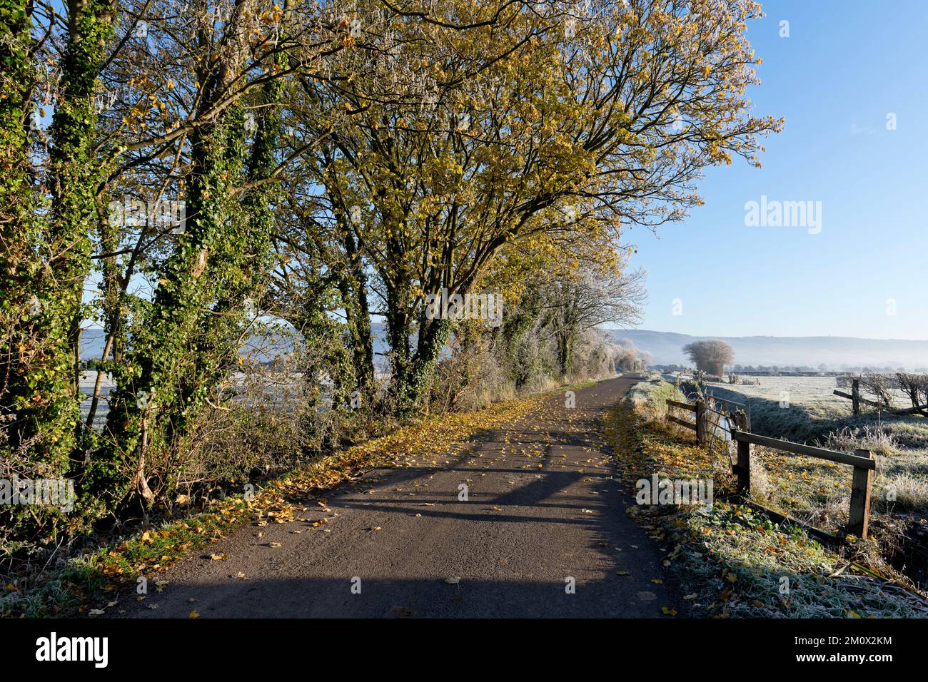 Winter landscape in the Cheddar Valley and Mendip Hills Somerset Stock ...