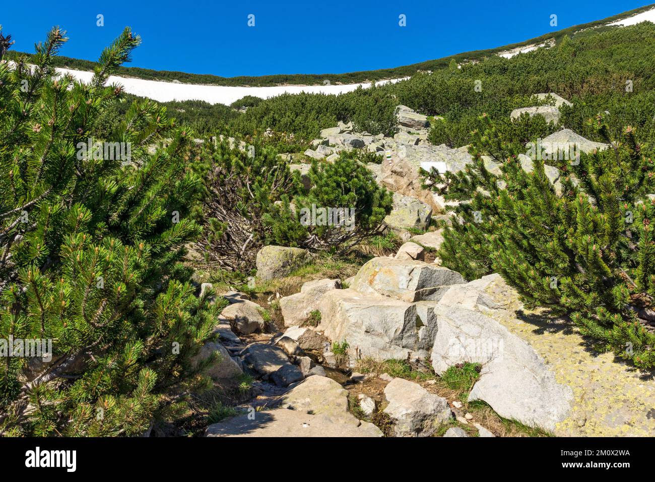 Amazing Summer Landscape of Pirin Mountain near Bezbog Lake, Bulgaria ...