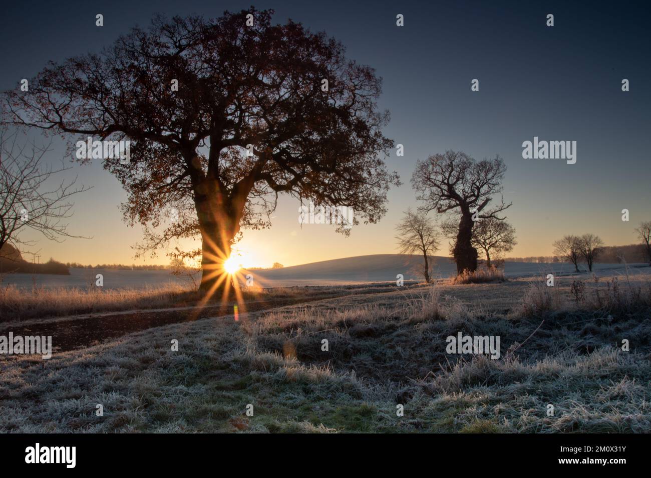 December grass hi-res stock photography and images - Alamy
