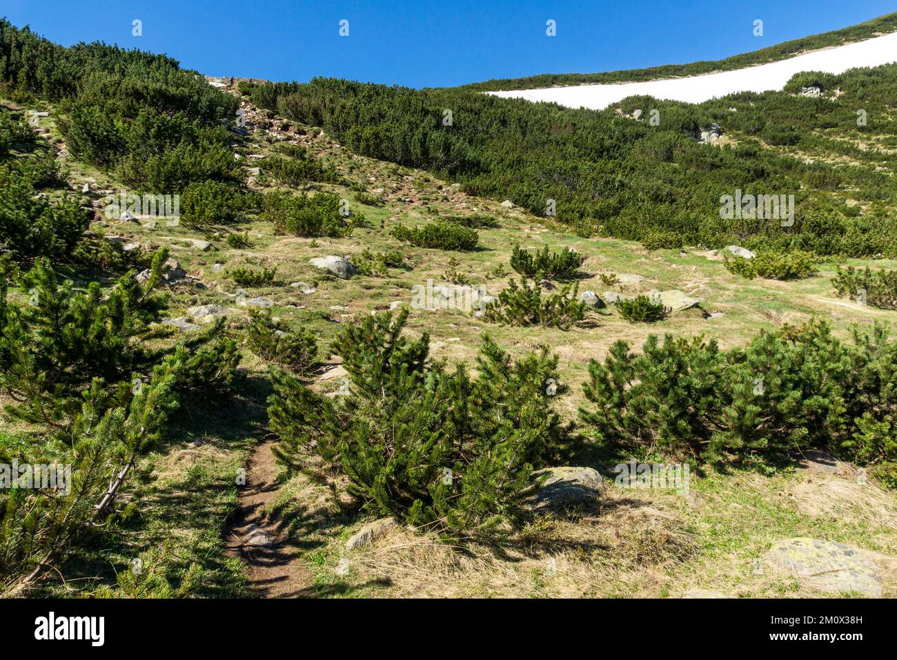 Amazing Summer Landscape of Pirin Mountain near Bezbog Lake, Bulgaria ...