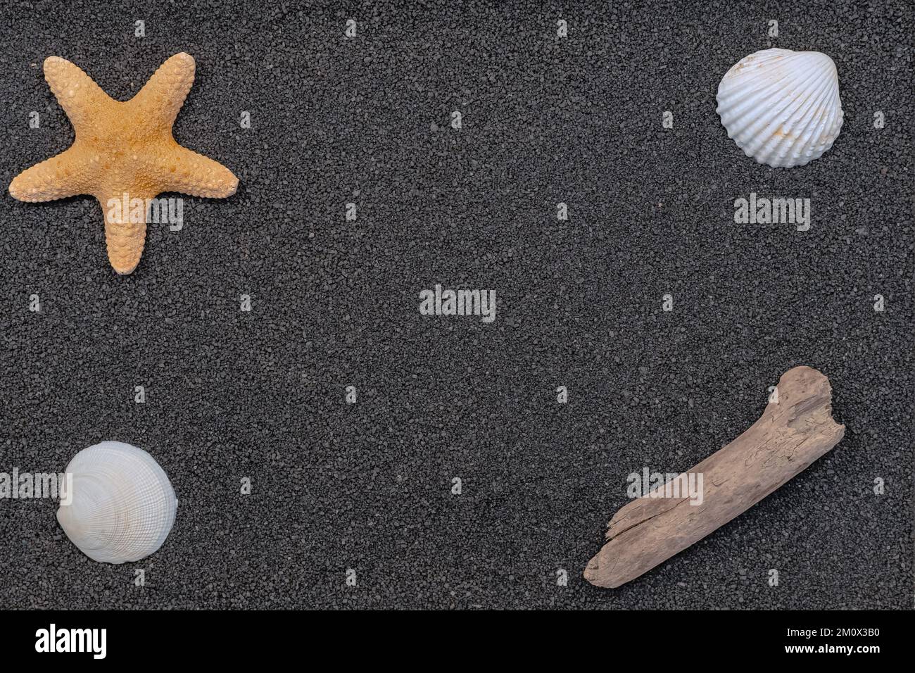 Shells on a black sand background with open space Stock Photo - Alamy