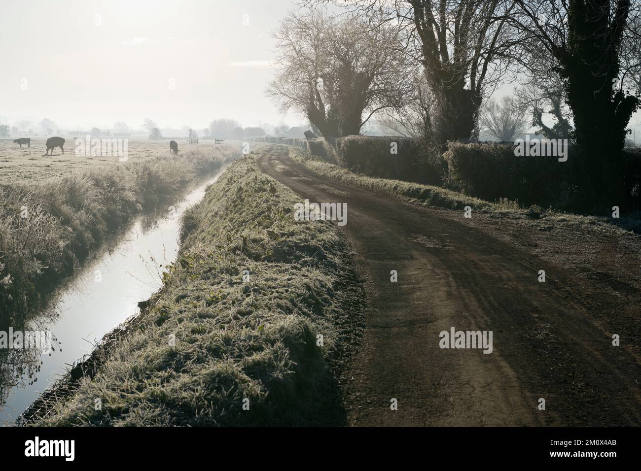 Winter landscape in the Cheddar Valley and Mendip Hills Somerset Stock ...