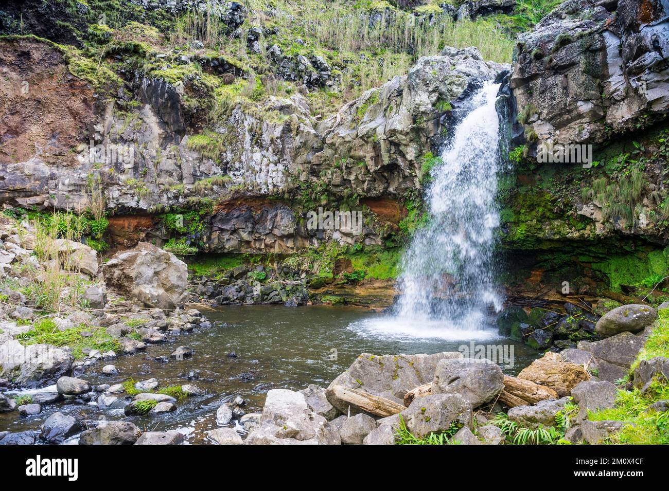 Little waterfall on the north side of the iIsland of Sao Miguel, Azores ...