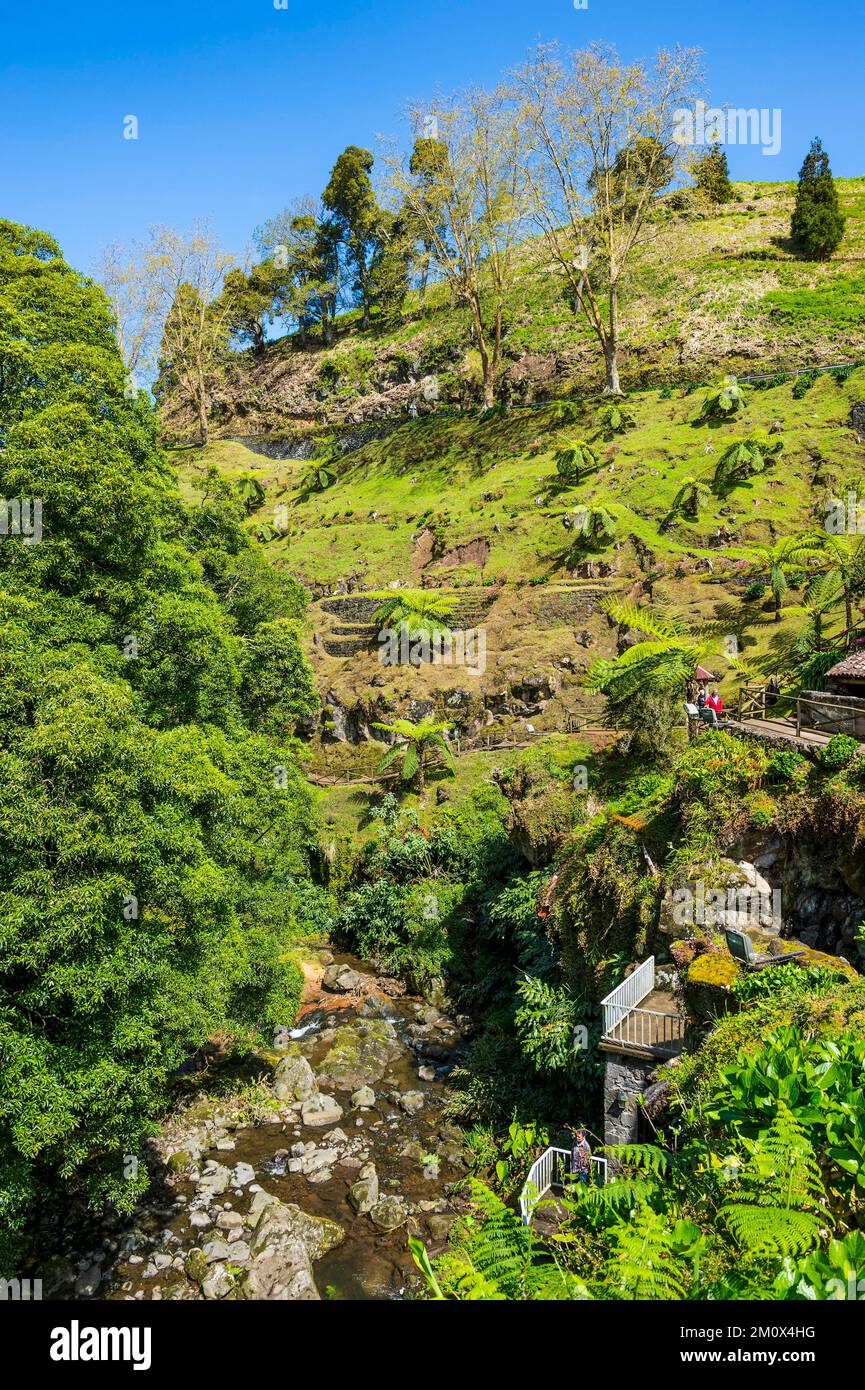 Beautiful valley in Achada, Island of Sao Miguel, Azores, Portugal ...